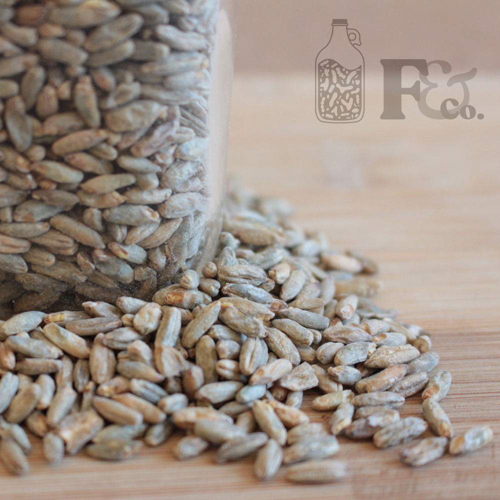 Rye Malt Pale – Fermetation & Compagnie